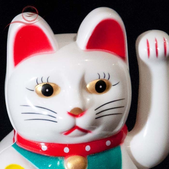 Maneki Neko cat